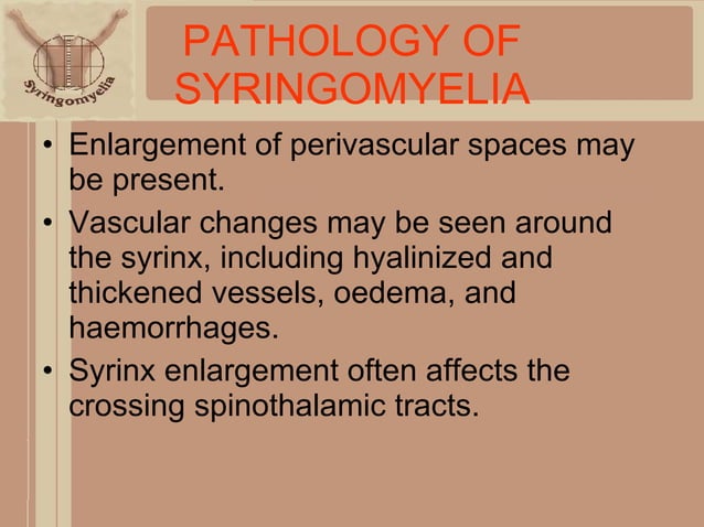 Syringomyelia | PPT | Death, Injury, or Military Conflict | Sensitive ...