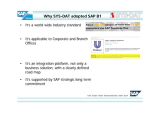 SYS-DAT for SAP Business One | PDF