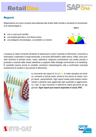 SYS-DAT - RETAIL ONE - SAP Business One | PDF