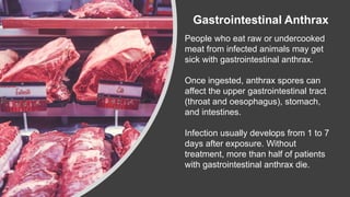 Sysco Environmental Anthrax Presentation.pptx | Free Download
