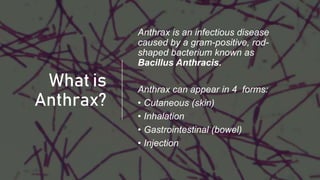 Sysco Environmental Anthrax Presentation.pptx