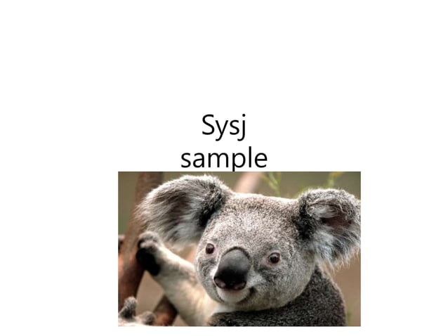 Sysj-sample | PPT