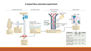 Flowcytometry | PPTX