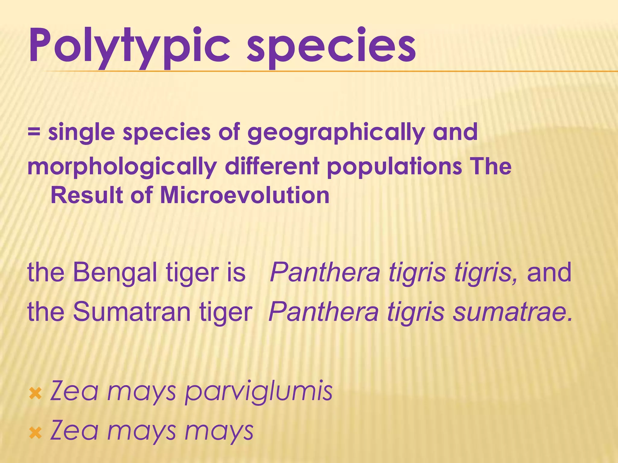 Animal Systematics Lecture 3 | PPTX