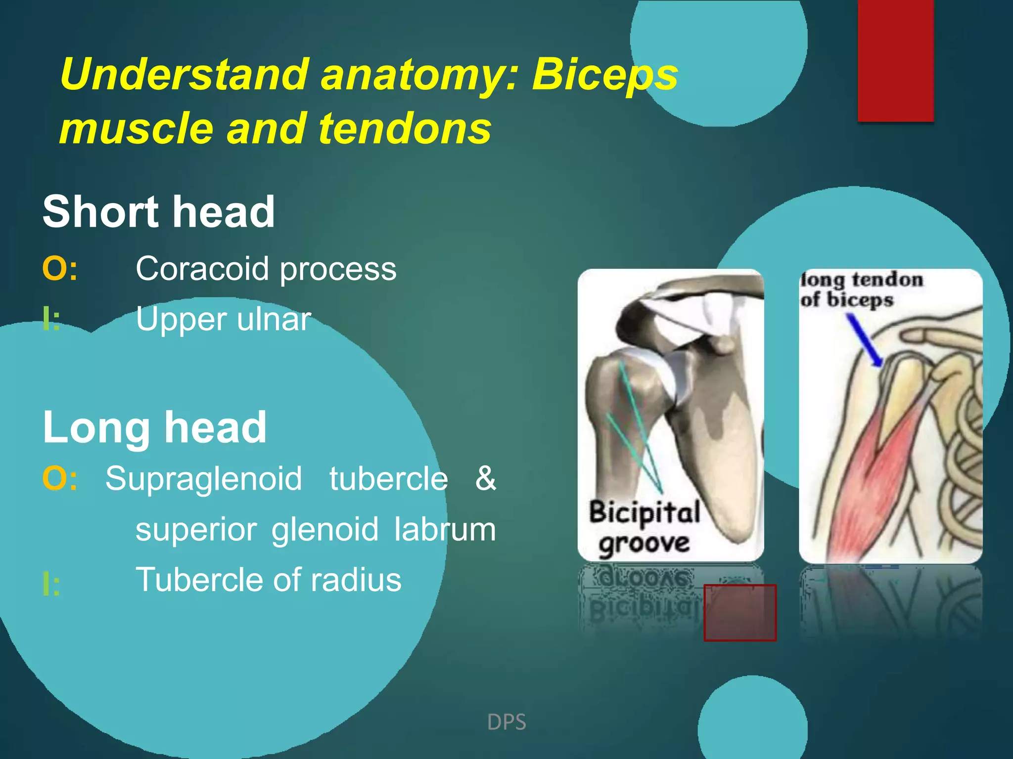 Systematic interpretation of shoulder MRI: DR. D. P. SWAMI | PPTX