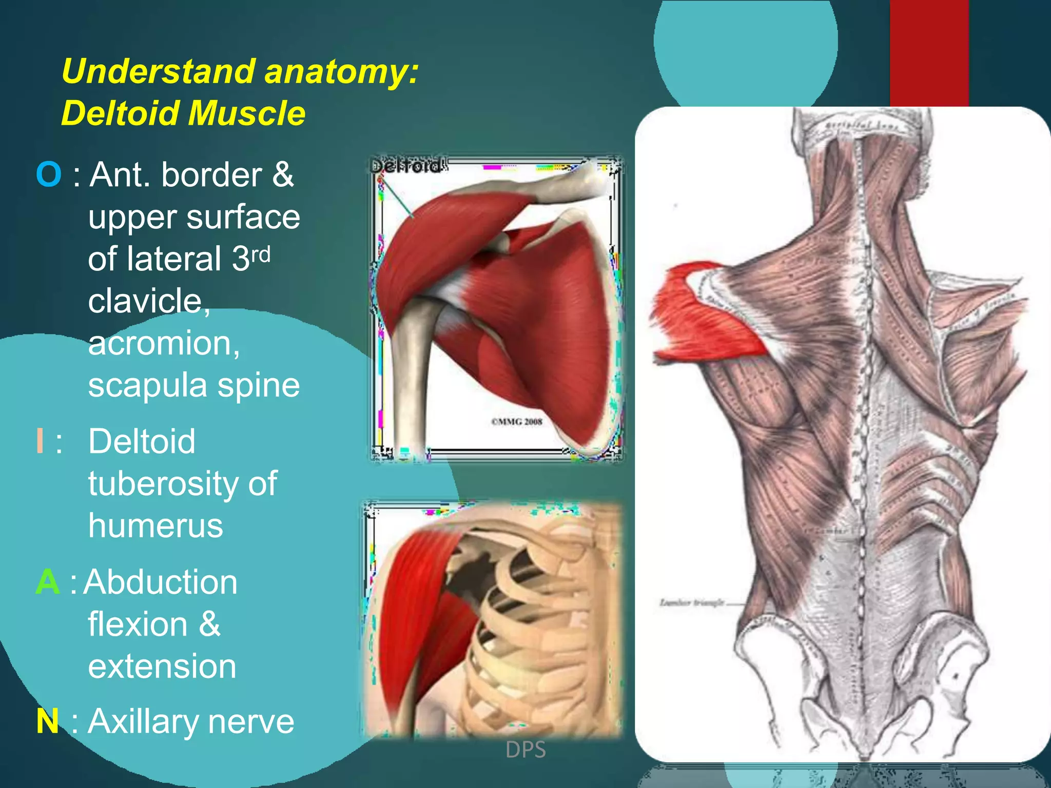 Systematic interpretation of shoulder MRI: DR. D. P. SWAMI | PPTX
