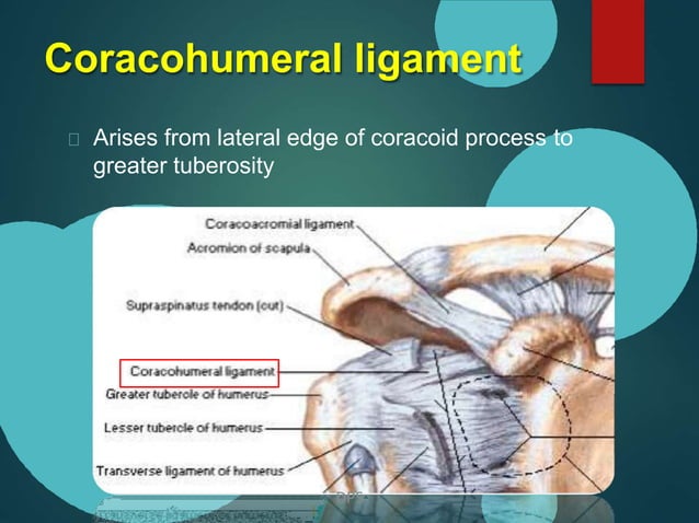 Systematic interpretation of shoulder MRI: DR. D. P. SWAMI | PPTX