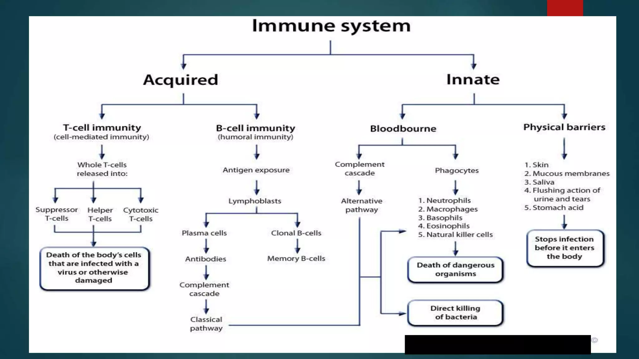 Systamic infalmatory response syndrome sirs | PPTX