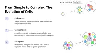 System-Evolution-and-Locomotion-in-Water.pptx