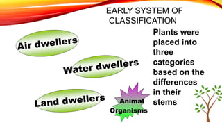system-of-classification-171007024939.pptx