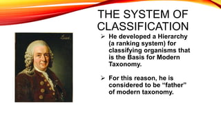 system-of-classification-171007024939.pptx