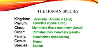 system-of-classification-171007024939.pptx