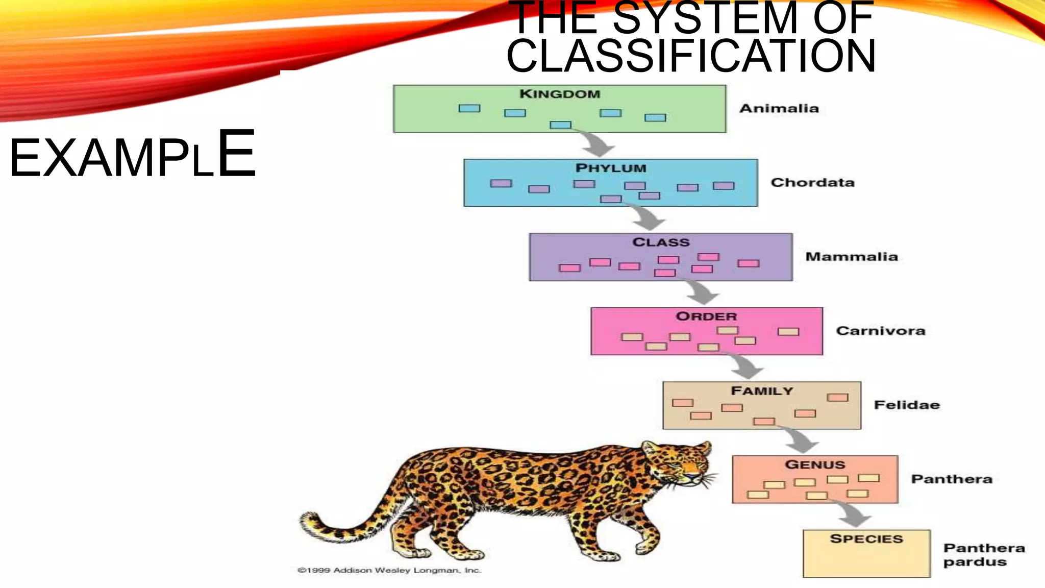 System of-classification: Taxonomy | PPTX