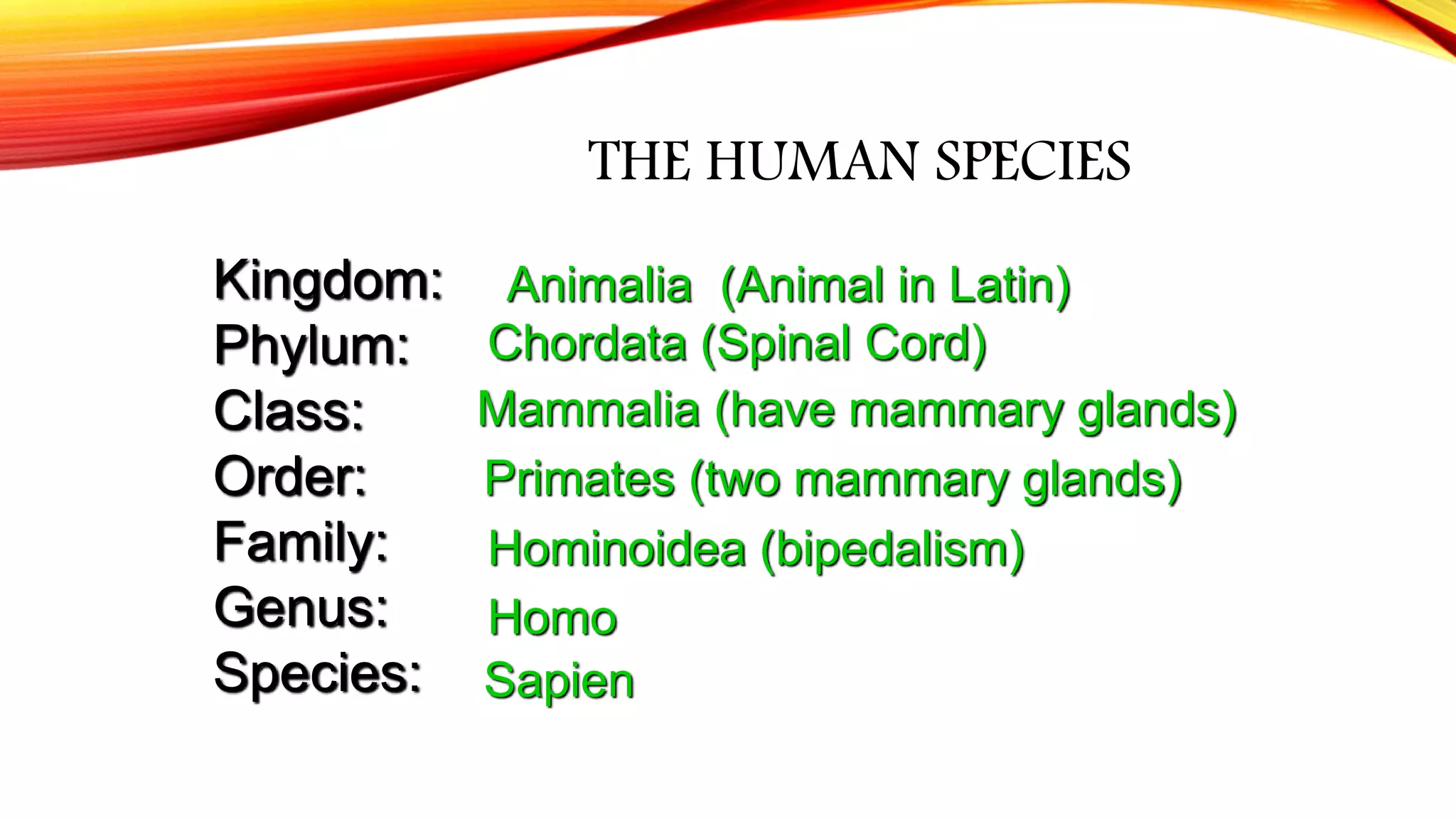 System of-classification: Taxonomy | PPTX
