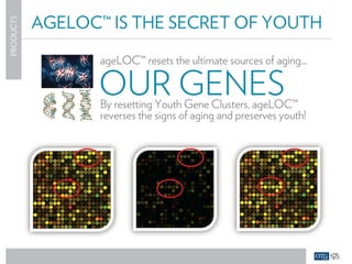 System7 Five Point | PPT