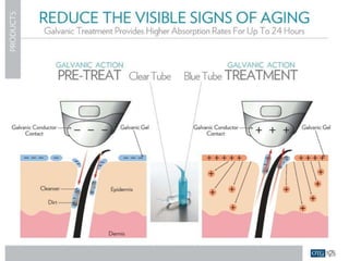 System7 five point | PPT