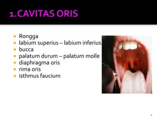 Systema digestivus akper pemkab muna | PPTX | Ear, Nose and Throat ...