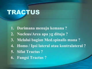 Systema nervorum i ( cns ) SEMESTER 2 kd 2 anatomy | PPTX