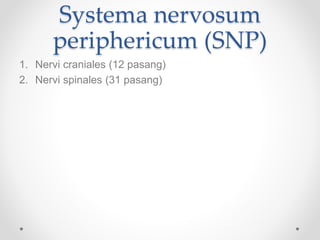 Systema nervosum | PPTX