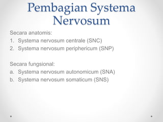Systema nervosum | PPTX