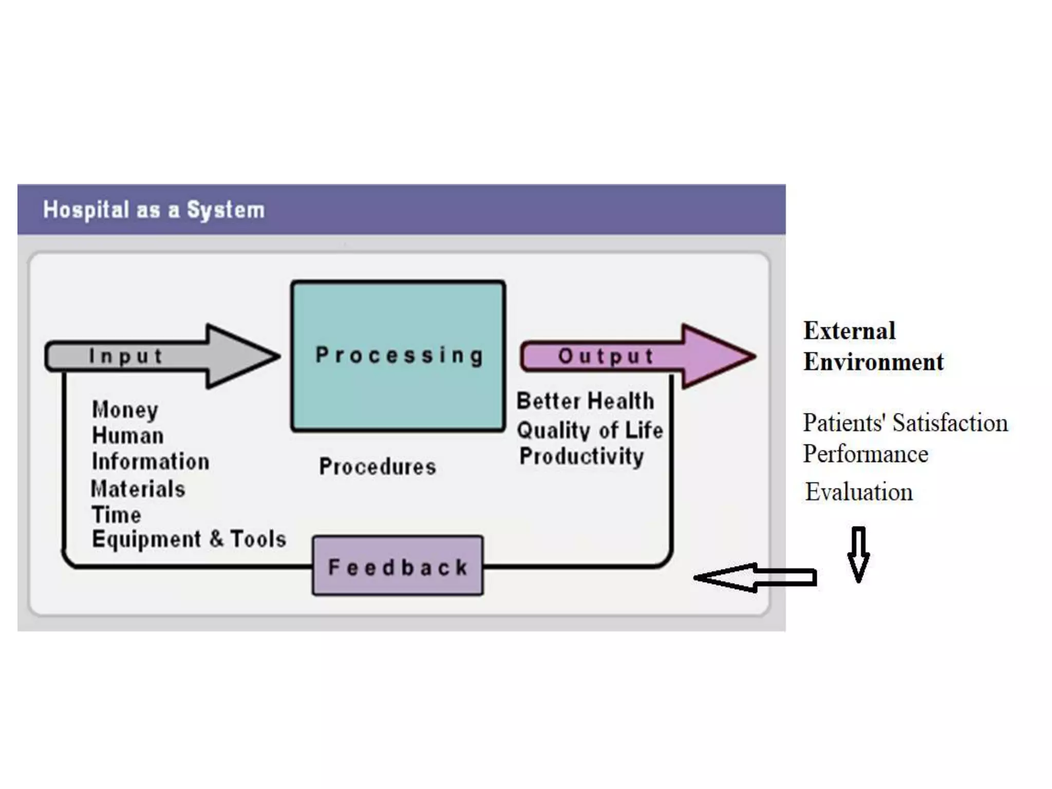 System Approach in Healthcare Management | PPTX