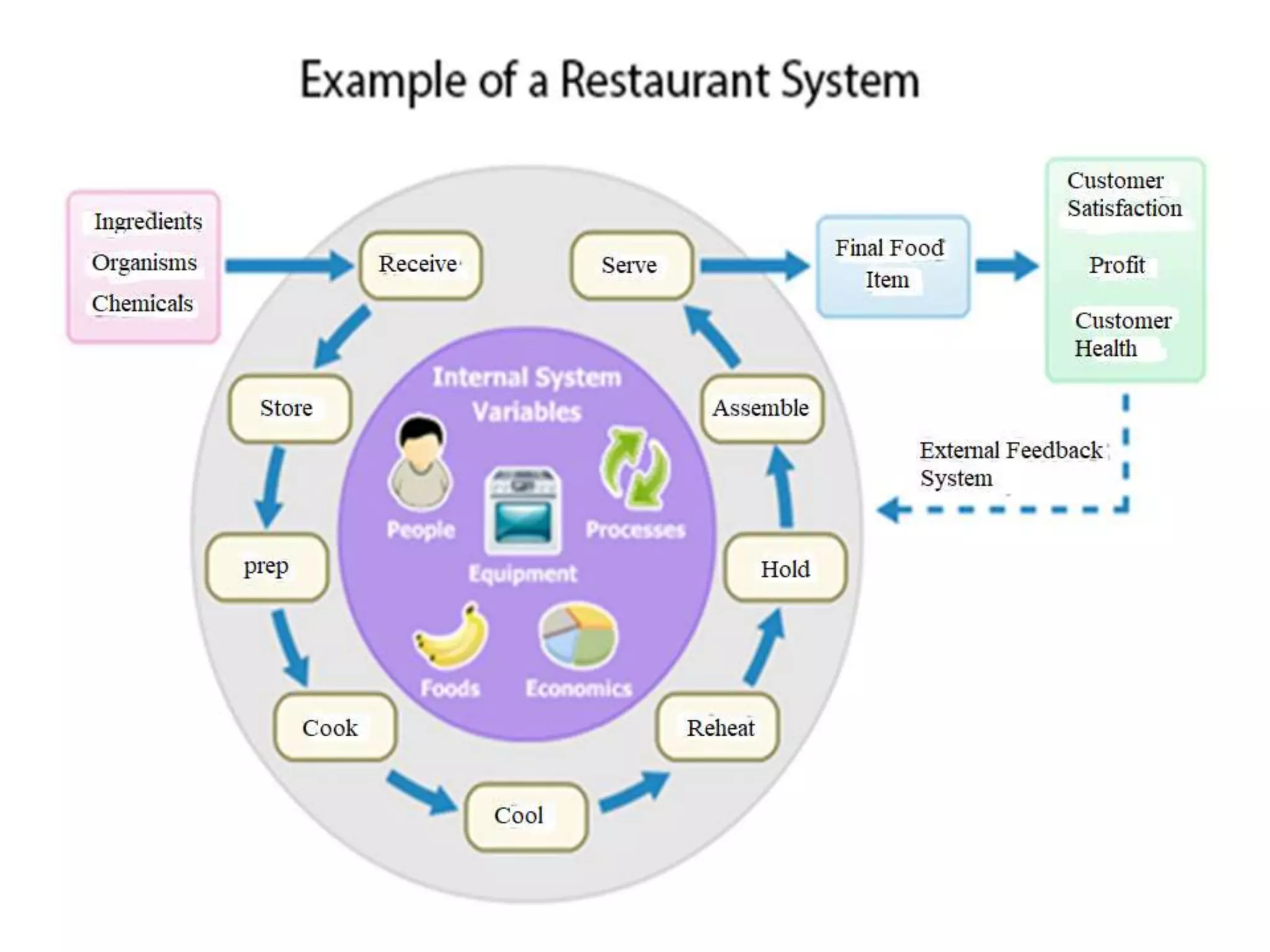 System Approach in Healthcare Management | PPTX