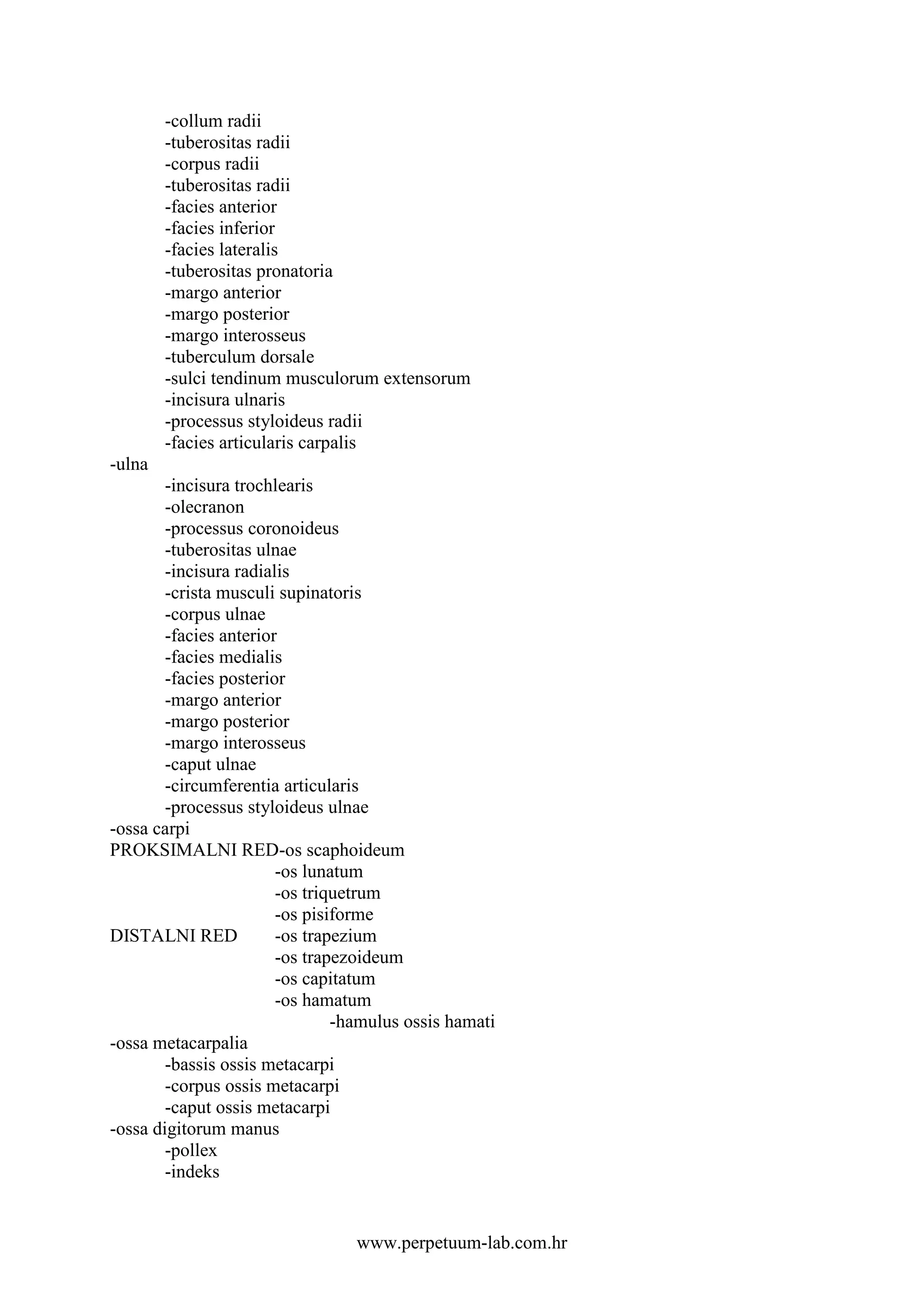 Systema skeletale brz pregled | PDF