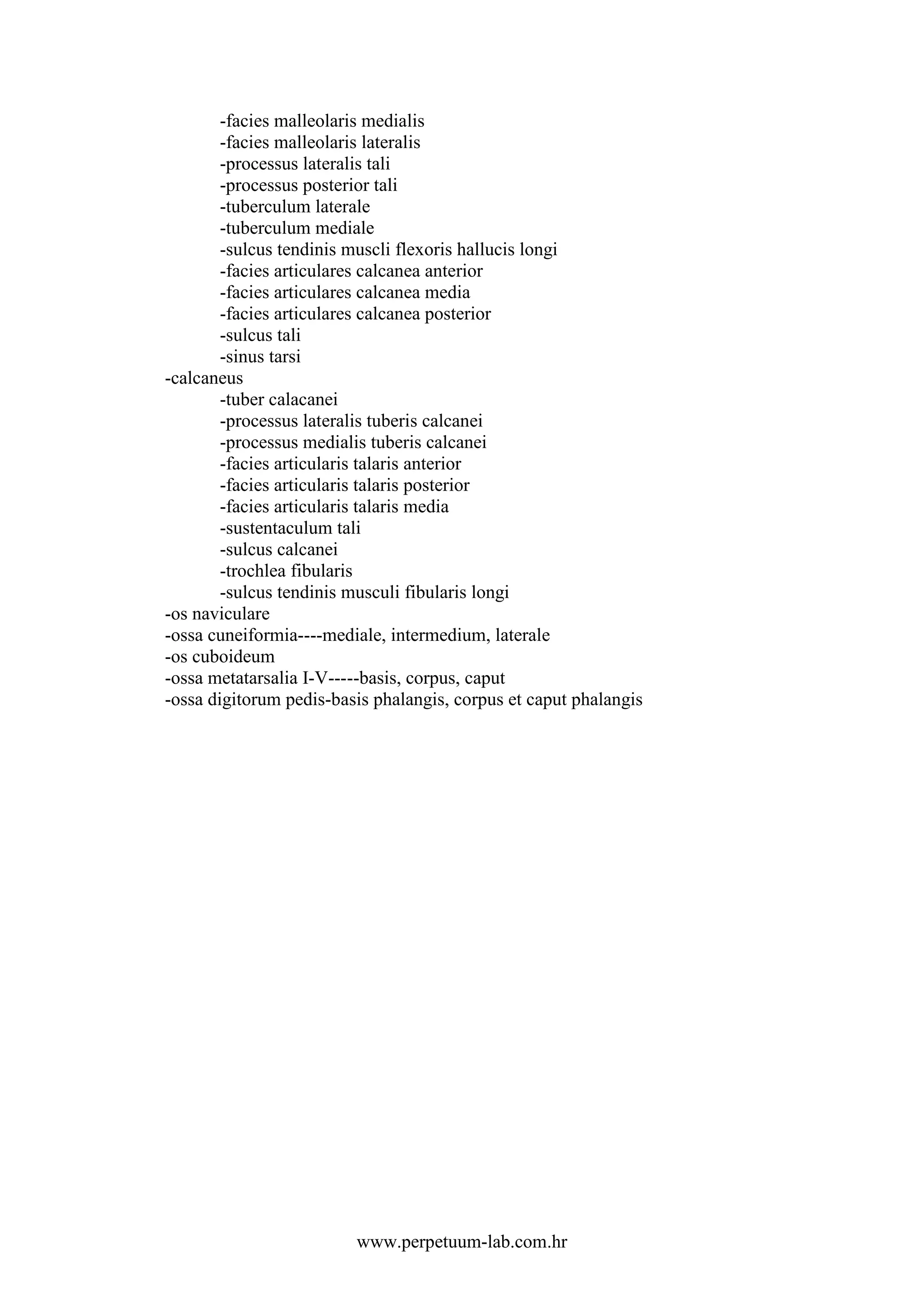 Systema skeletale brz pregled | PDF