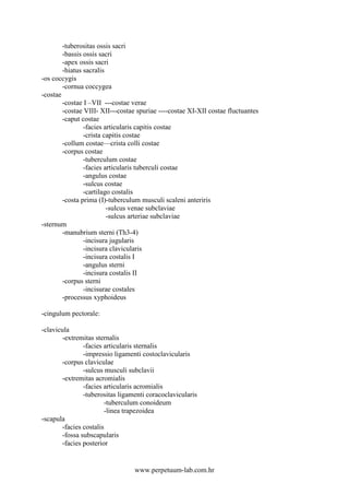 Systema skeletale brz pregled | PDF