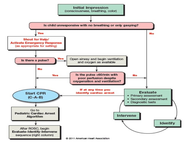 Systematic approach to the seriously ill or injured (PALS) | PPTX | First Aid | Injuries