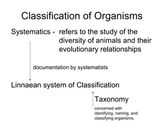 Systematic biology post lab on dichotomous key copy | PPT | Gardening ...