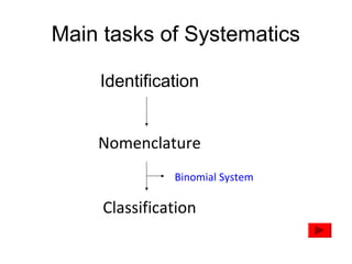 Systematic biology post lab on dichotomous key copy | PPT | Gardening | Home & Garden