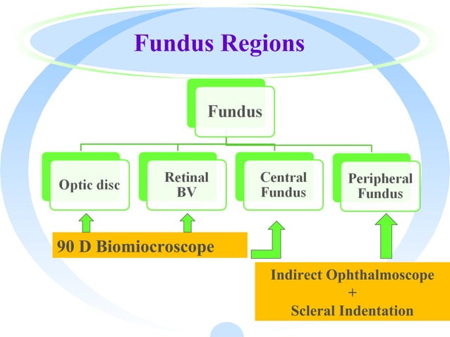 Systematic fundus examination | PPT