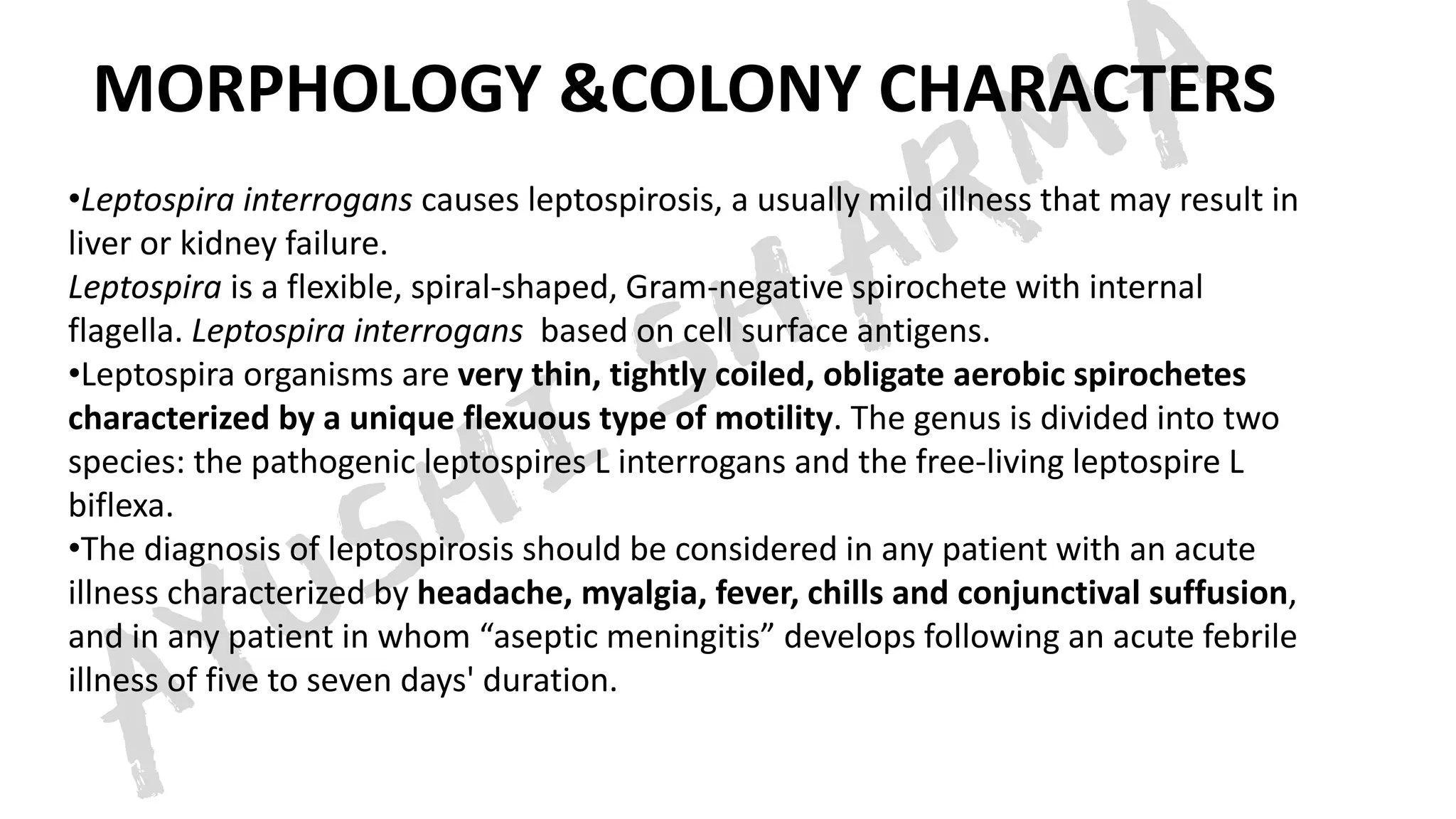 Systematic Bacteriology Set of Microbiology | PPTX