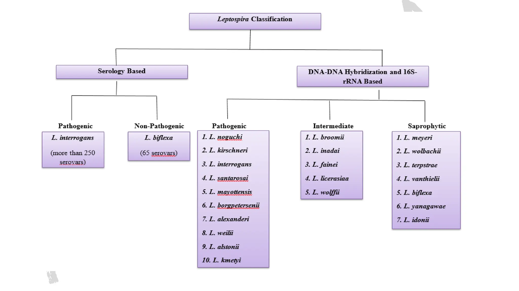 Systematic Bacteriology Set of Microbiology | PPTX