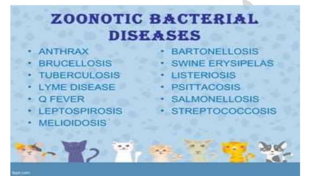 Systematic Bacteriology Set of Microbiology | PPTX | Infectious Diseases | Diseases and Conditions