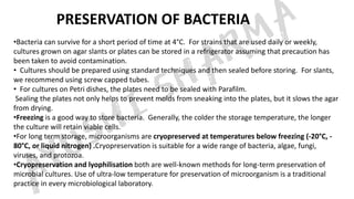 Systematic Bacteriology Set of Microbiology | PPTX