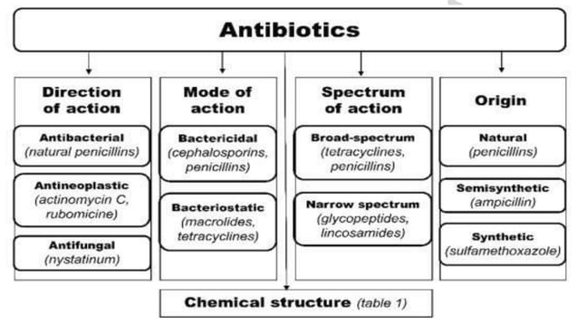 Systematic Bacteriology Set of Microbiology | PPTX | Infectious ...