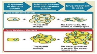 Systematic Bacteriology Set of Microbiology | PPTX