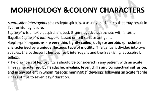 Systematic Bacteriology Set of Microbiology | PPTX | Infectious ...