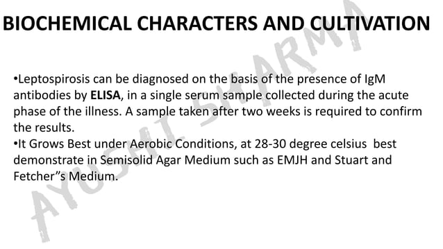 Systematic Bacteriology Set of Microbiology | PPTX | Infectious Diseases | Diseases and Conditions