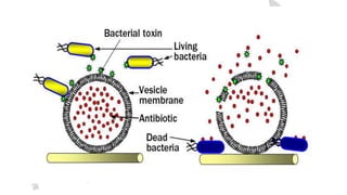 Systematic Bacteriology Set of Microbiology | PPTX