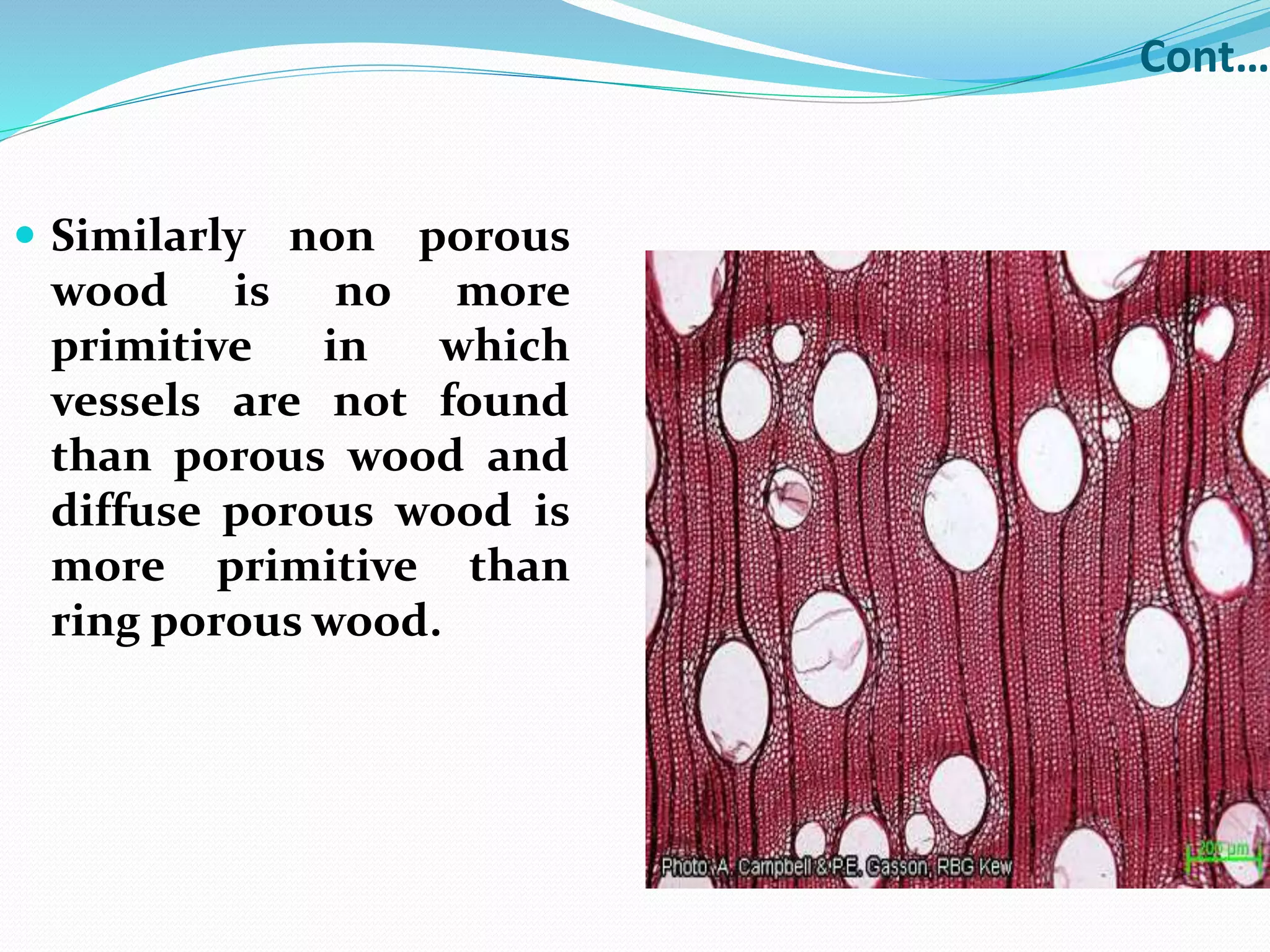 Systematic plant anatomy with special reference of various | PPTX