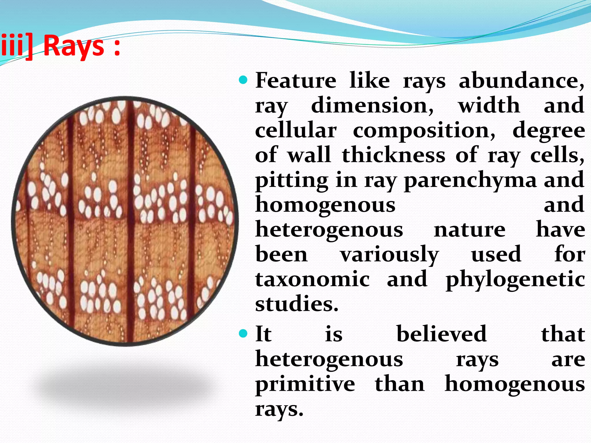 Systematic plant anatomy with special reference of various | PPTX