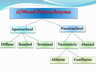 Systematic plant anatomy with special reference of various | PPTX