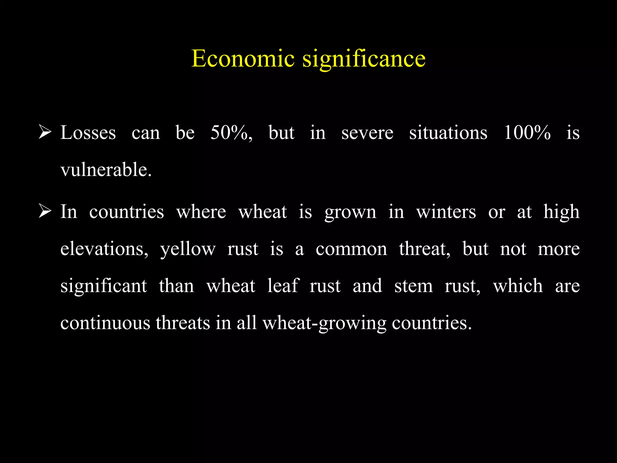 Wheat Yellow Stripe Rust | PPTX