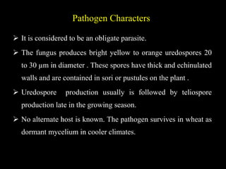 Wheat Yellow Stripe Rust | PPTX