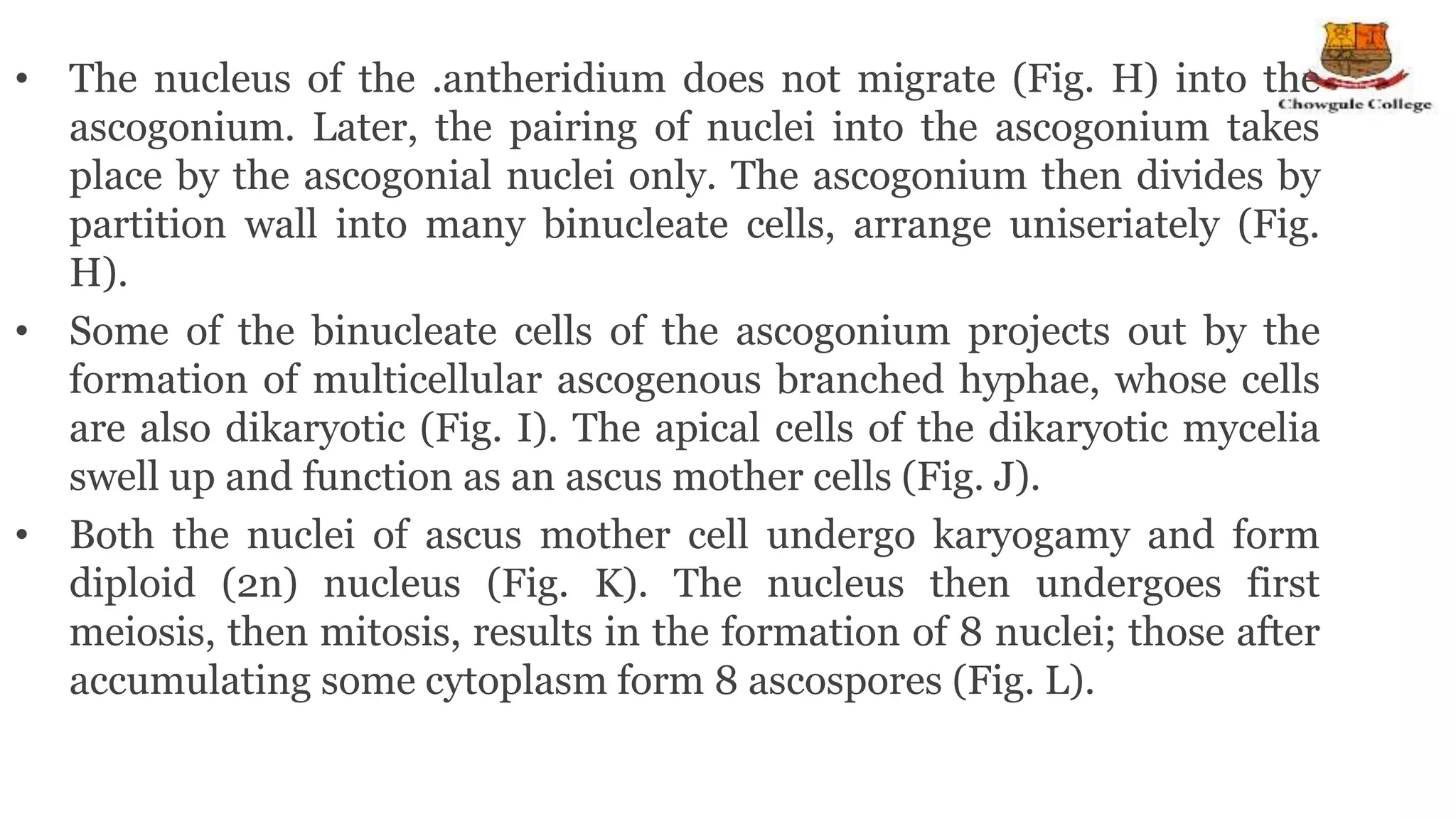 Systematic position and life cycle of penicillium | PPTX