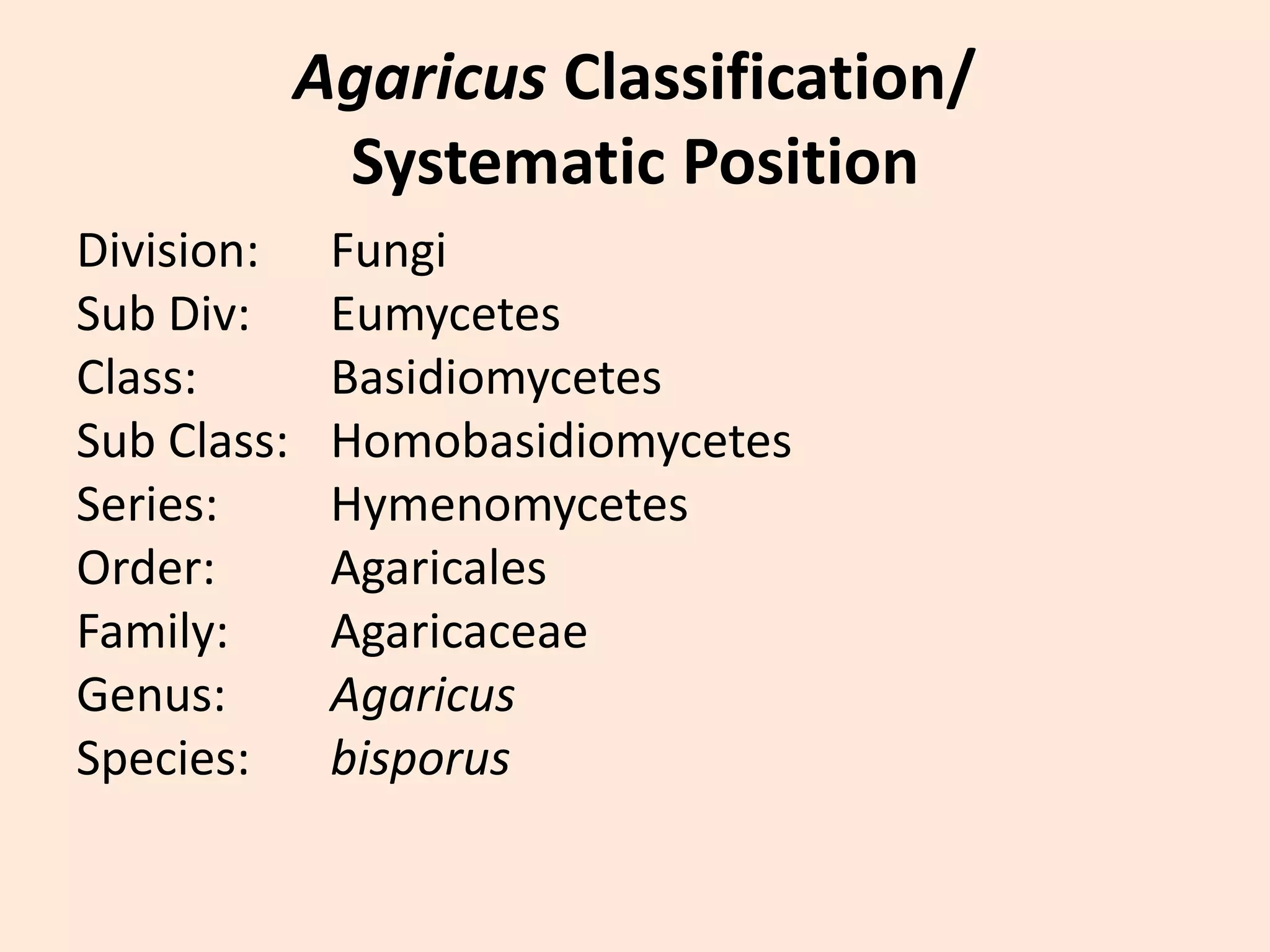 Systematic position of Agaricus | PPTX