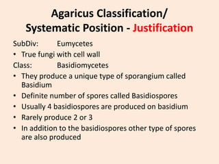 Systematic position of Agaricus | PPTX